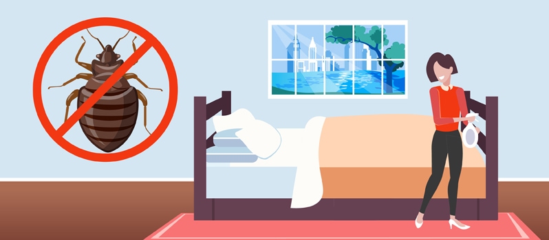 How to Get Rid of Bed Bugs Naturally: 8 Proven Ways • InsideBedroom